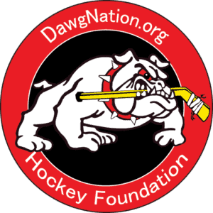 335 Best Beer League Hockey Team Names In 2024